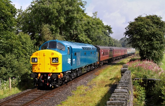 Solve BR Class 40 40135. jigsaw puzzle online with 54 pieces