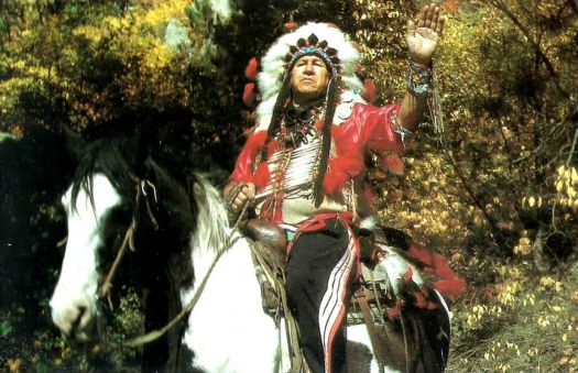 Solve Horses- PAHA SKA Sioux Indian Artist & Horse- Keystone South ...