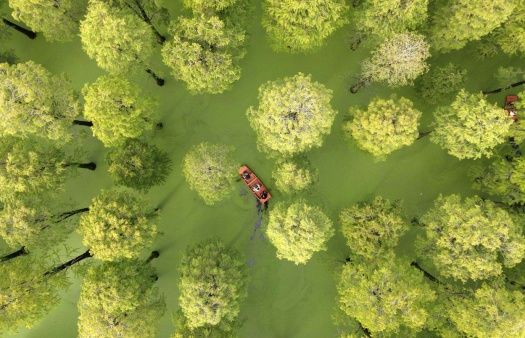 Solve Tourist boat in Luyang Lake Wetland Park in Yangshou, China ...