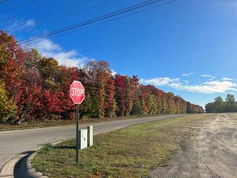 Solve Beautiful Fall Colors in Michigan jigsaw puzzle online with 192 ...