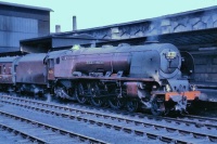 Jigsaw puzzle categories | Page 174 | Jigidi.com