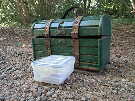 Solve Geocaching Geocache jigsaw puzzle online with 12 pieces