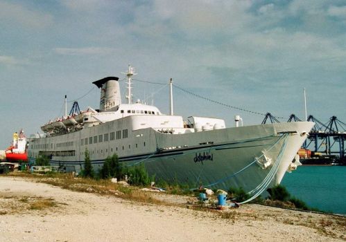 Solve Dolphin IV jigsaw puzzle online with 24 pieces