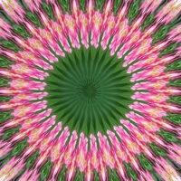 Jigsaw Puzzle Categories | Page 83 | Jigidi.com