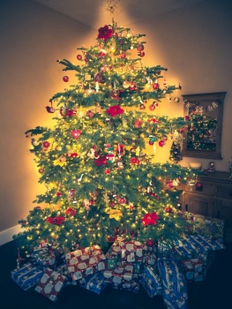 Solve Christmas Tree jigsaw puzzle online with 500 pieces