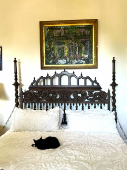 Solve Suzanne visiting Ernest Hemingway Home, Key West, FL 6 jigsaw ...