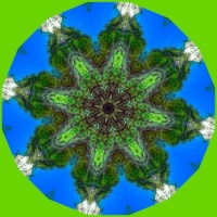 Free online jigsaw puzzles | Jigidi.com