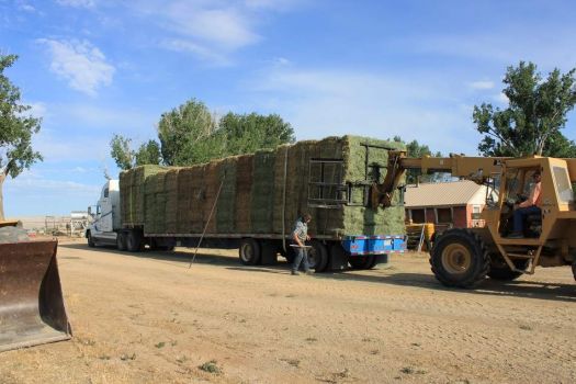 Solve Putting on final touches to Denver load 6/4/20 jigsaw puzzle ...