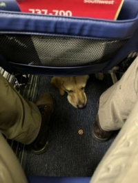 Free online jigsaw puzzles | Page 1706 | Jigidi.com