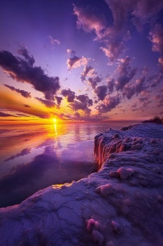 Solve Ever So jigsaw puzzle online with 140 pieces