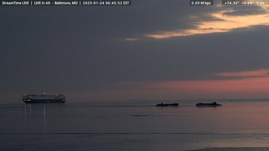 Solve Baltimore: Roro Arc defender inbound at dawn, 2025-01-24 jigsaw ...