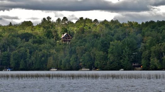 Solve Sun peeking through, overlooking Emily Lake, Florence County ...