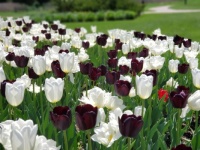 Jigsaw Puzzle Categories | Page 27 | Jigidi.com