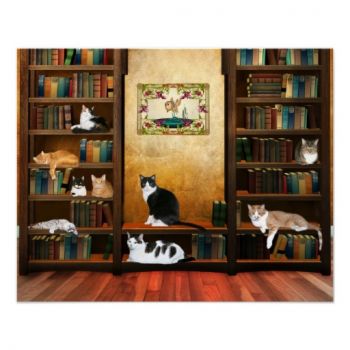 Solve Cat Library jigsaw puzzle online with 49 pieces