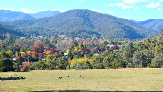 Solve Bright, Victoria, Australia jigsaw puzzle online with 153 pieces