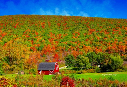 Solve Fall in the Finger Lakes jigsaw puzzle online with 150 pieces