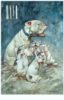 Solve Bonzo with Five Pups, by George Ernest Studdy (English, 1878-1948 ...