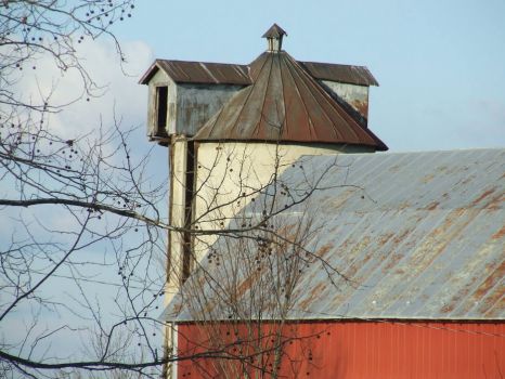 Solve Virginia Barn Unusual Silo Top jigsaw puzzle online with 20 pieces