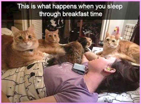 Solve We Know It's Saturday But It's Time To Get Up, Sleepyhead! We're ...