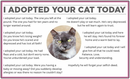 Solve Pets Are A Lifetime Commitment jigsaw puzzle online with 40 pieces