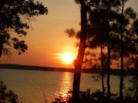 Solve On Bussey Point at Clarks Hill Lake jigsaw puzzle online with 154 ...