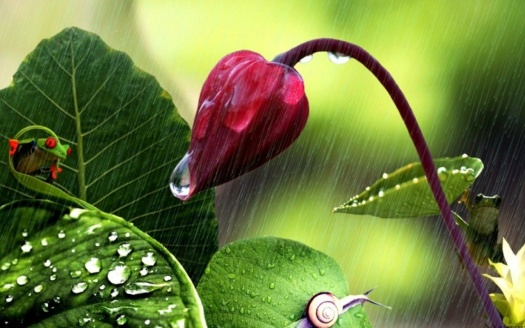 Solve Rainy Day jigsaw puzzle online with 77 pieces