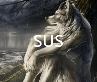 Solve emo wolf jigsaw puzzle online with 42 pieces