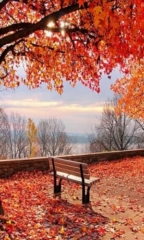 Solve Fall afternoon jigsaw puzzle online with 84 pieces