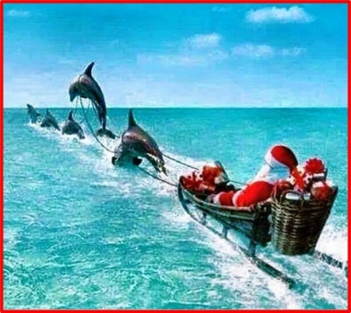 Solve Merry Christmas from Florida! jigsaw puzzle online with 30 pieces
