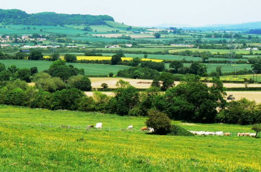 Solve English countryside jigsaw puzzle online with 126 pieces