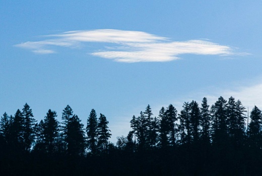 Solve BRIGHT SKY, SHADED FOREST jigsaw puzzle online with 77 pieces