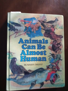 Solve Animals Can Be Almost Human jigsaw puzzle online with 70 pieces