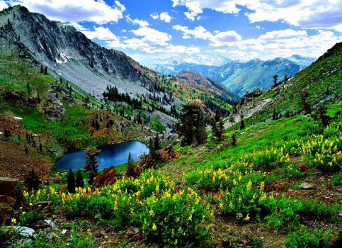 Solve Shasta Trinity National Park - Shasta Alps jigsaw puzzle online ...