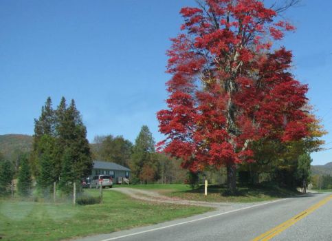 Solve Route 5, Ely, VT 101111 jigsaw puzzle online with 70 pieces