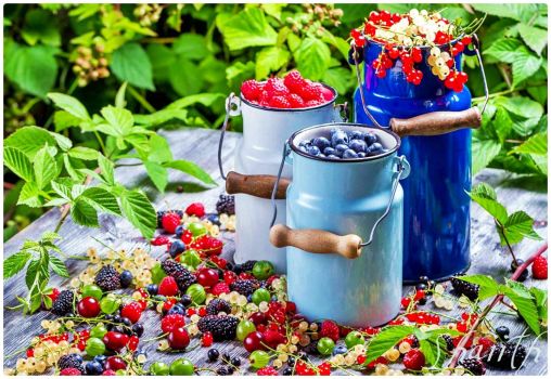 Solve Berry Harvest jigsaw puzzle online with 294 pieces