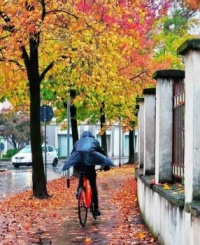 Free online jigsaw puzzles | Page 25 | Jigidi.com