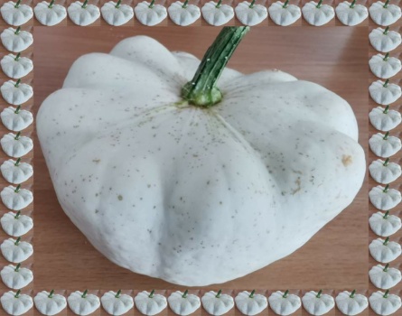 Solve Patizon... jigsaw puzzle online with 12 pieces