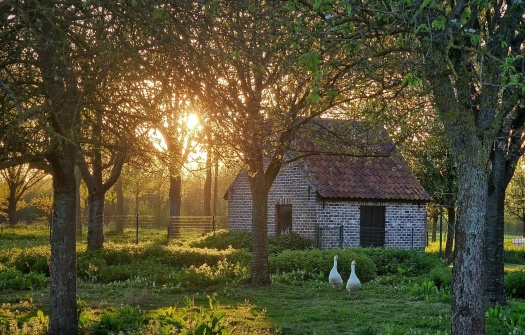 Solve Peaceful view! jigsaw puzzle online with 15 pieces