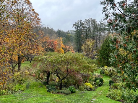 Solve Emerald Green in the Fall Rain jigsaw puzzle online with 140 pieces