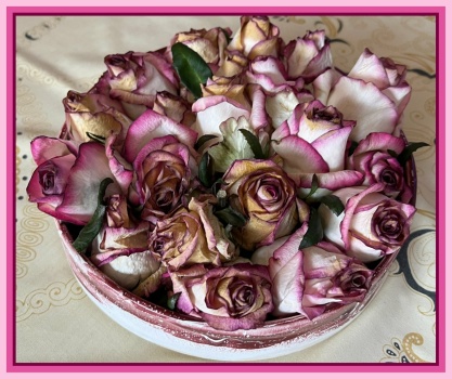 Solve Received roses, 2 weeks later. Gekregen rozen, 2 weken later ...