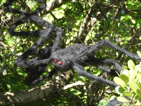 Solve Creepy Spider…not real. Ha Ha jigsaw puzzle online with 30 pieces