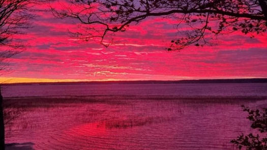 Solve magenta sky jigsaw puzzle online with 144 pieces