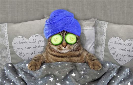 Solve Spaw-Day jigsaw puzzle online with 77 pieces