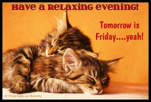 Solve Good night - have a relaxing evening! jigsaw puzzle online with ...