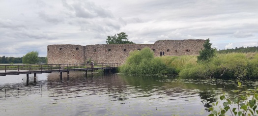 Solve Ruinen von Schloss Kronoberg jigsaw puzzle online with 84 pieces