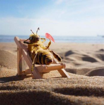 Solve Bee at the Beach jigsaw puzzle online with 121 pieces