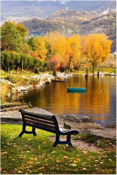 Solve Ahh! Peace and Quiet 17 jigsaw puzzle online with 70 pieces