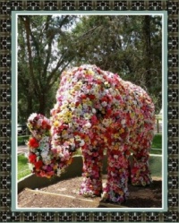 Jigsaw puzzle creator MacTea » Play one of my 11688 free puzzles at Jigidi