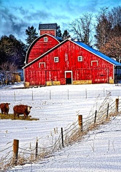 Solve Two Old Red Barns and Two Cold Cows.... jigsaw puzzle online with 20 pieces