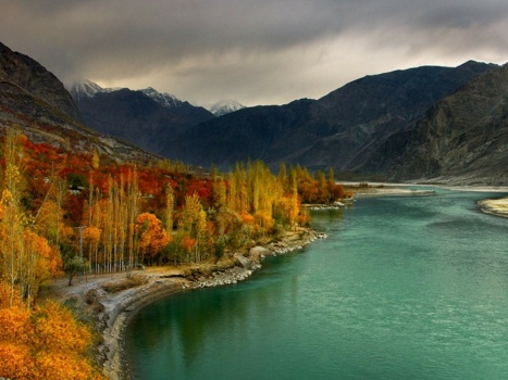 Solve PARDISE jigsaw puzzle online with 546 pieces